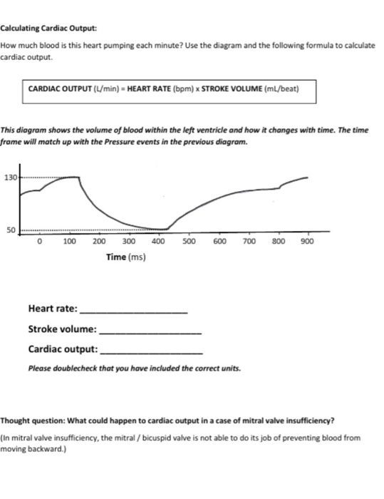 Solved Calculating Cardiac Output: How much blood is this | Chegg.com