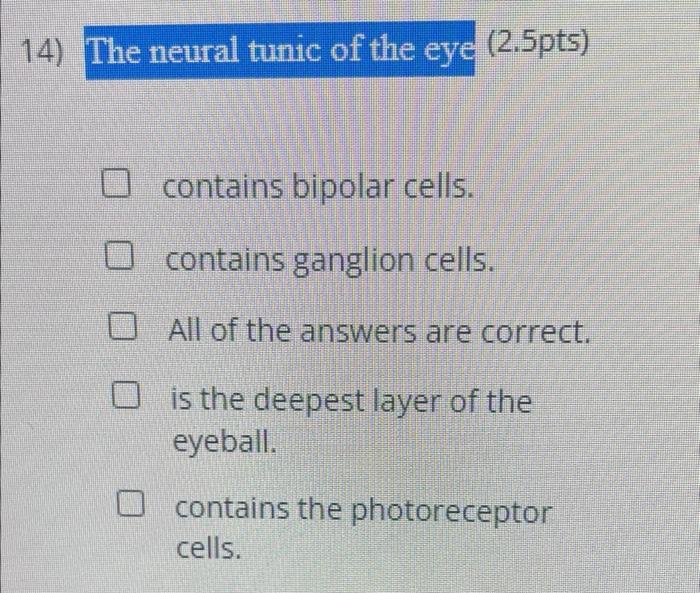 Solved 14) The neural tunic of the eye (2.5pts) contains | Chegg.com