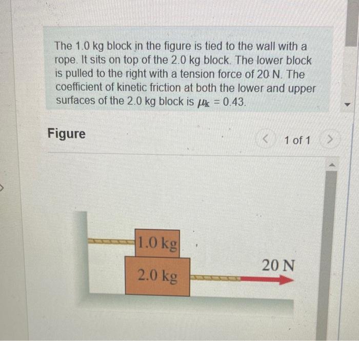 Solved The 1.0 kg block in the figure is tied to the wall | Chegg.com