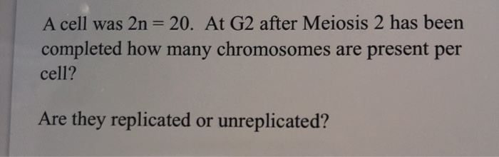 Solved A cell was 2n = 20. At G2 after Meiosis 2 has been | Chegg.com