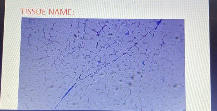 TISSUE NAME: | Chegg.com