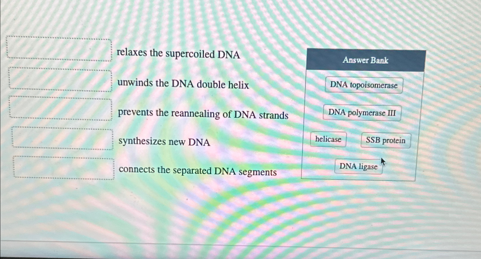 Solved relaxes the supercoiled DNAunwinds the DNA double | Chegg.com