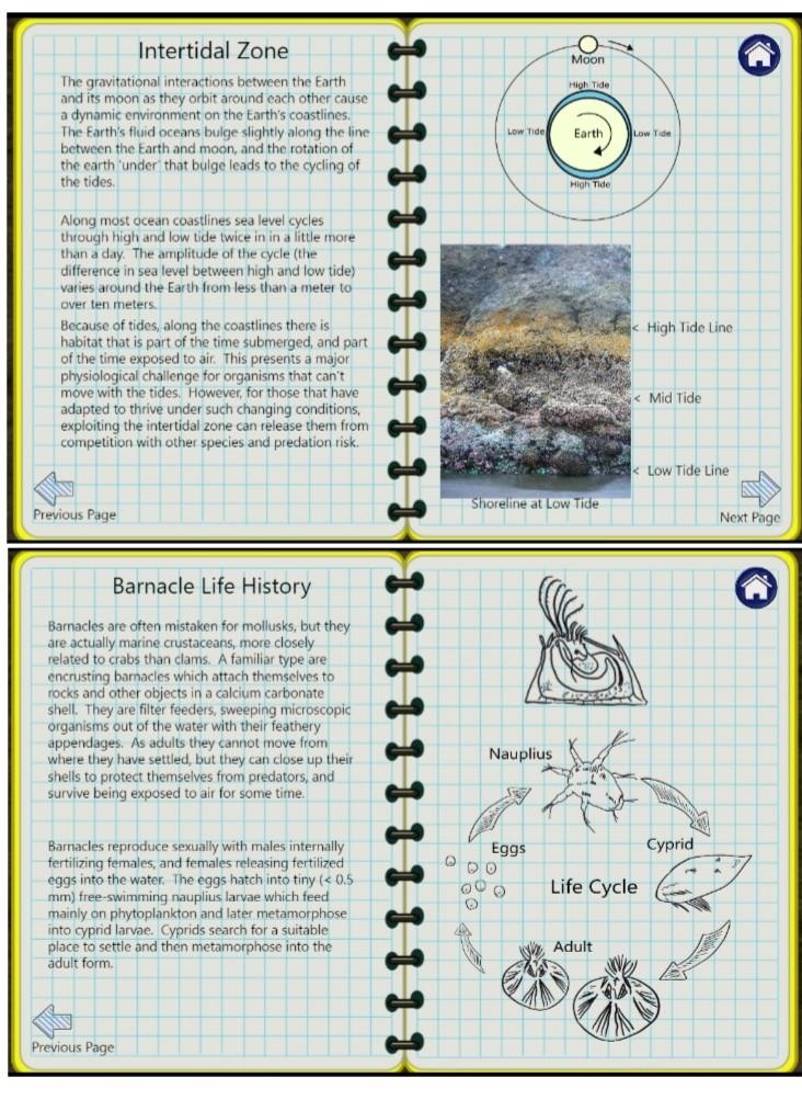 Solved Overview Summary This activity is an inquiry-based | Chegg.com