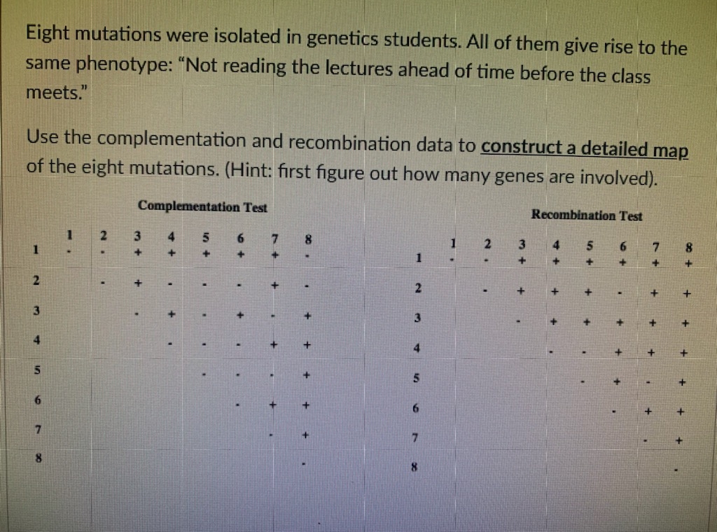 Solved Eight mutations were isolated in genetics students. | Chegg.com