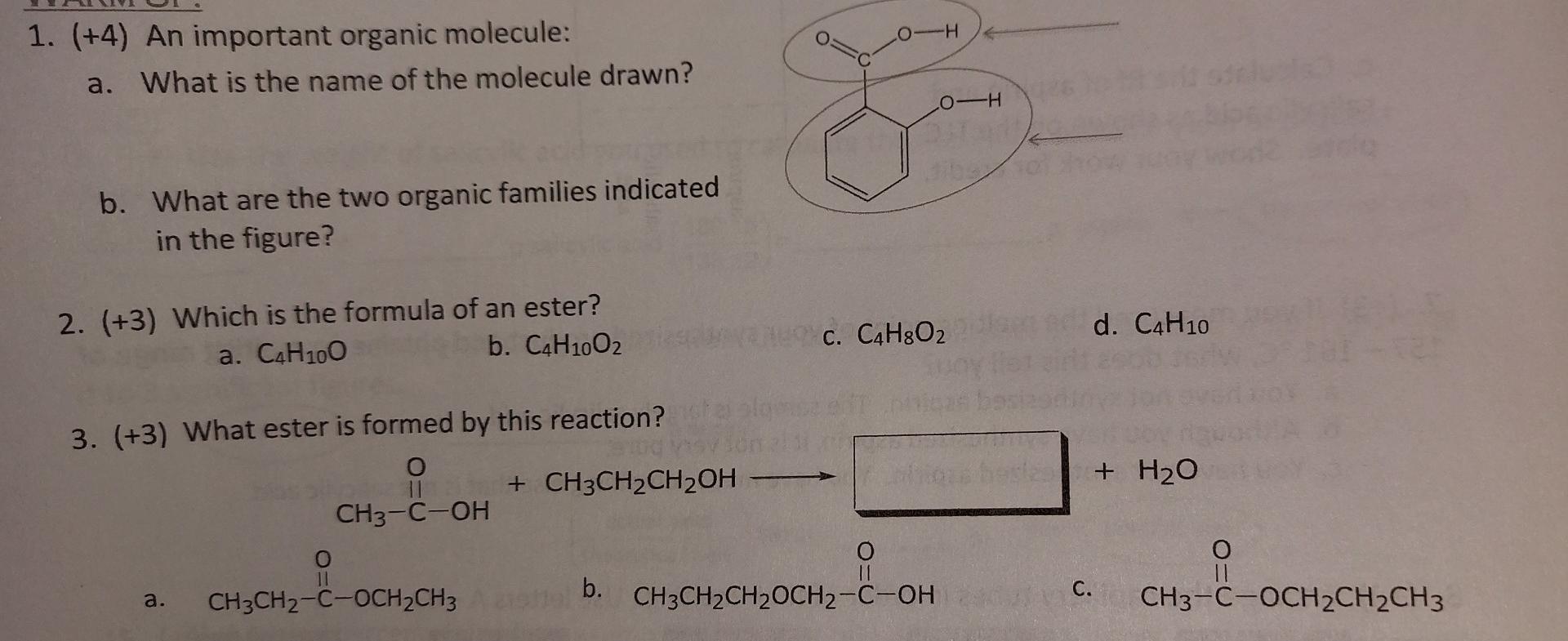 Solved 1. (+4) An important organic molecule: a. What is the | Chegg.com