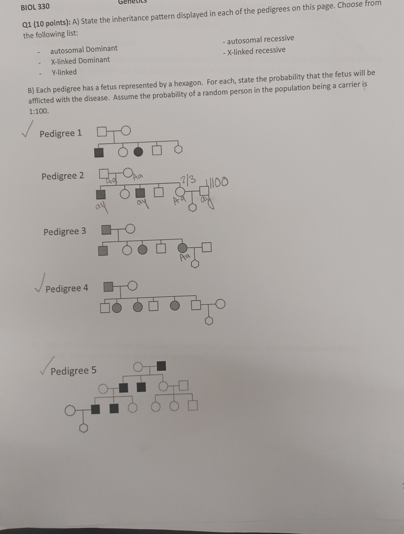 Solved BIOL 330Q1 (10 ﻿points): A) ﻿State the inheritance | Chegg.com