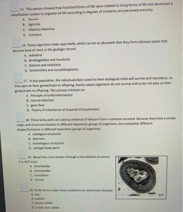 Solved 12. The microfossils pictured here are: A. | Chegg.com