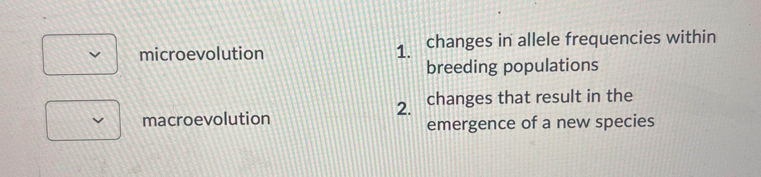 Solved microevolutionmacroevolutionchanges in allele | Chegg.com