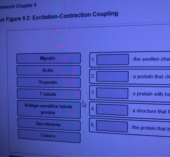 mework Chapter 9 us Figure 9.2: | Chegg.com