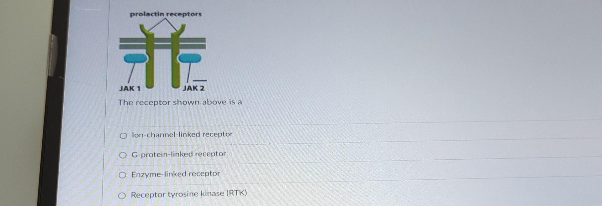 Solved The receptor shown above is a Ion-channel-linked | Chegg.com