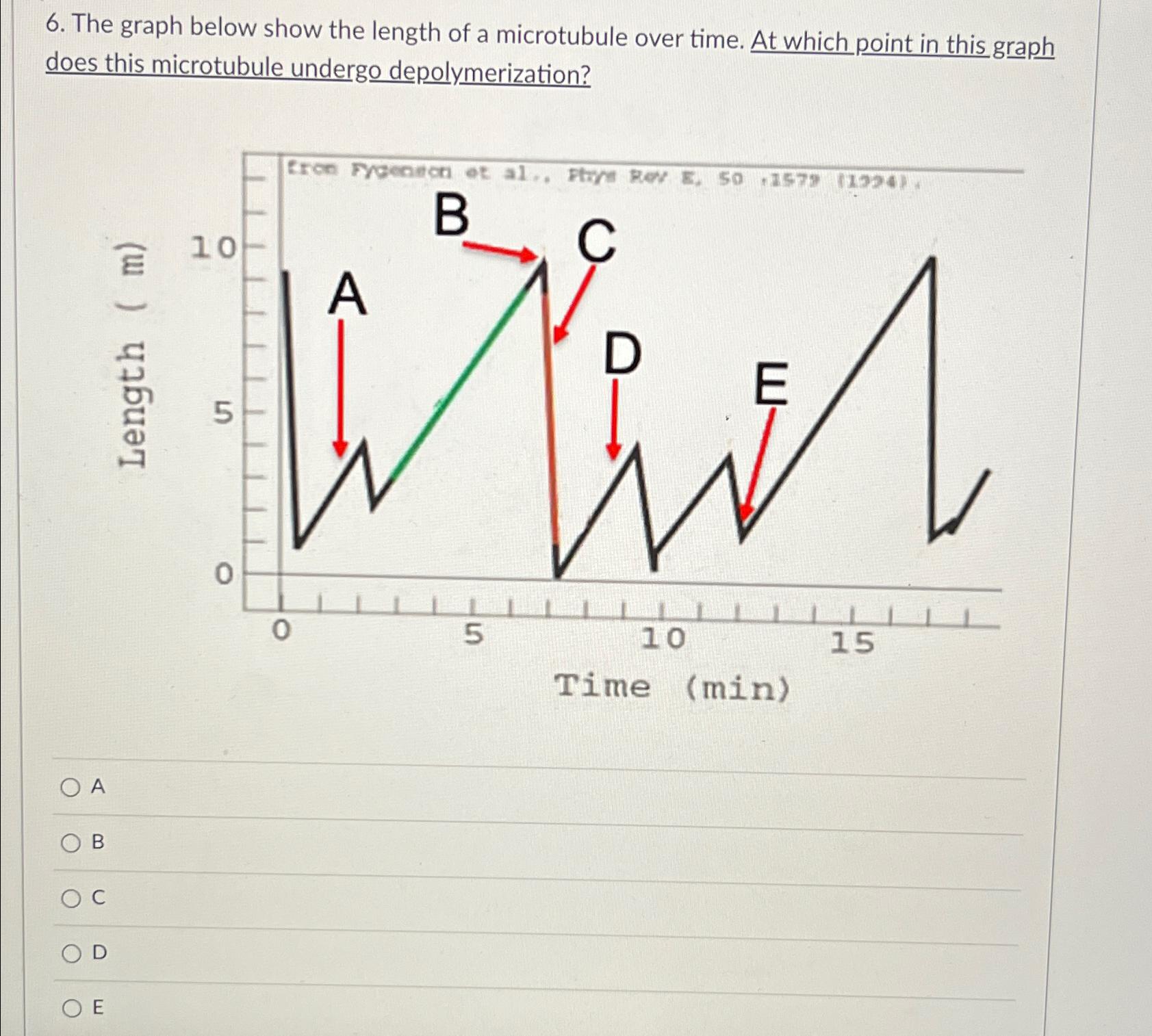 Solved The graph below show the length of a microtubule over | Chegg.com