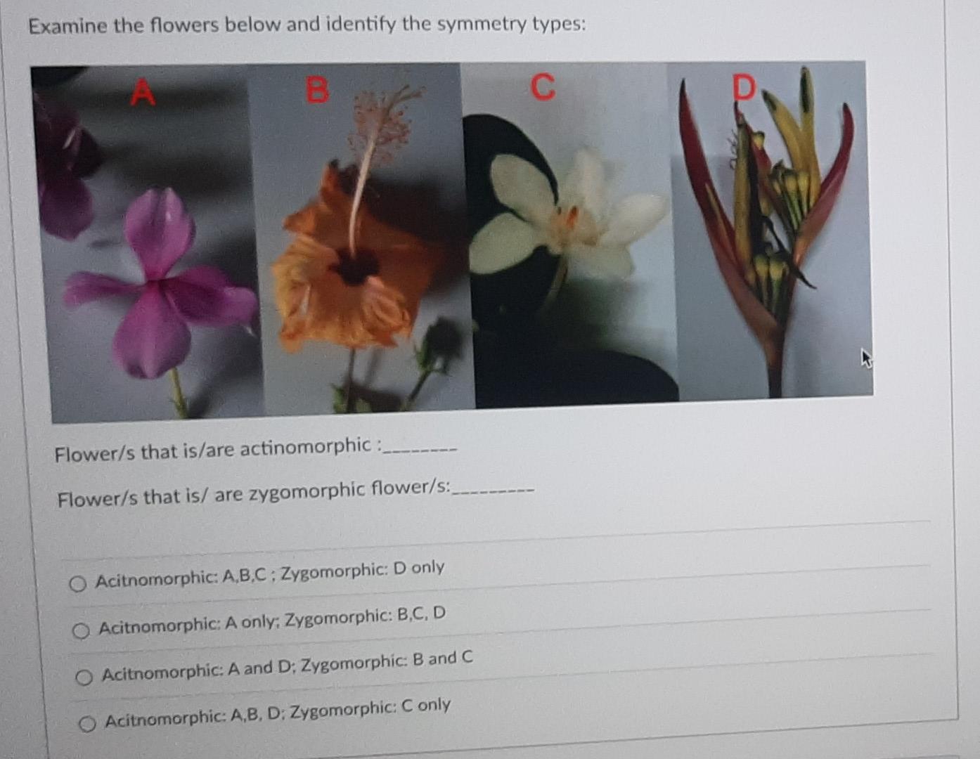Solved Examine the flowers below and identify the symmetry | Chegg.com