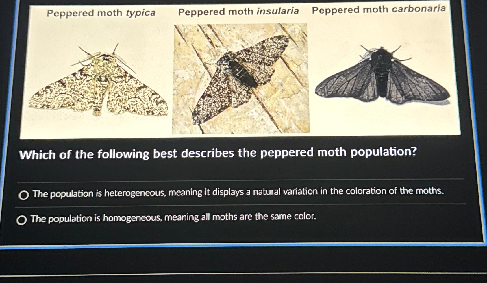 Solved Which of the following best describes the peppered | Chegg.com