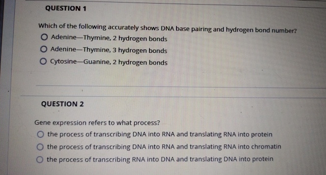 Solved QUESTION 1Which of the following accurately shows DNA | Chegg.com