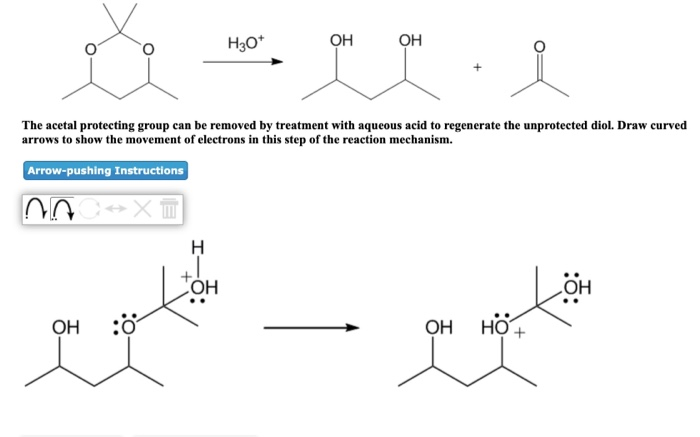 Solved NHCH3 O CH3NH2 CH3 CH3 H3C H3C Nucleophiles, such as | Chegg.com