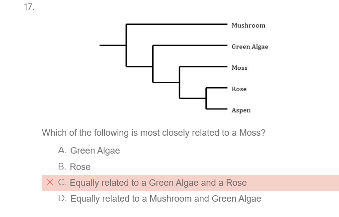 Solved Which of the following is most closely related to a | Chegg.com
