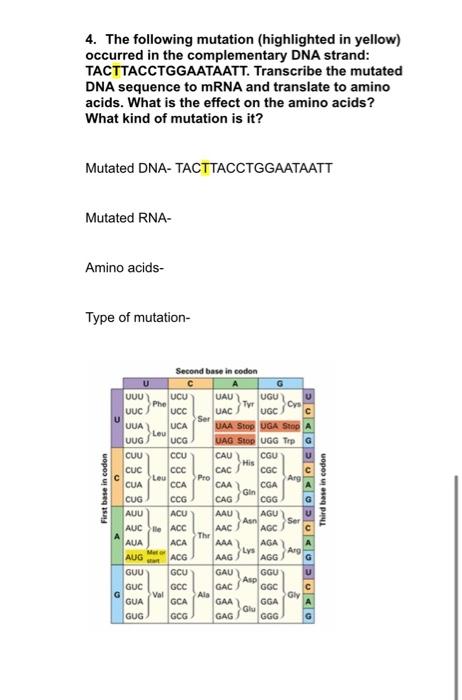 Solved 4. The following mutation (highlighted in yellow) | Chegg.com