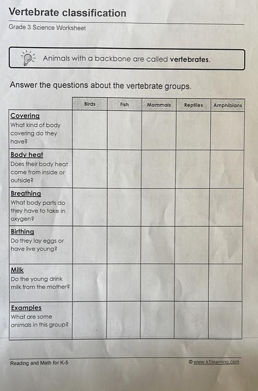 Solved Vertebrate classificationGrade 3 ﻿Science | Chegg.com