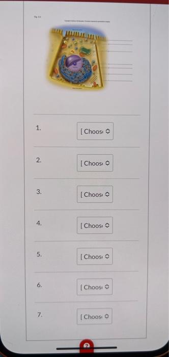 Solved 1. [Choosi ≈ 2. [Choosi ≈ 3. [Choosi * 4. [Choosi ≈ | Chegg.com