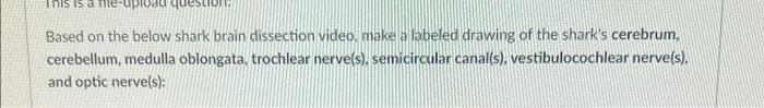 Based on the below shark brain dissection video, make | Chegg.com