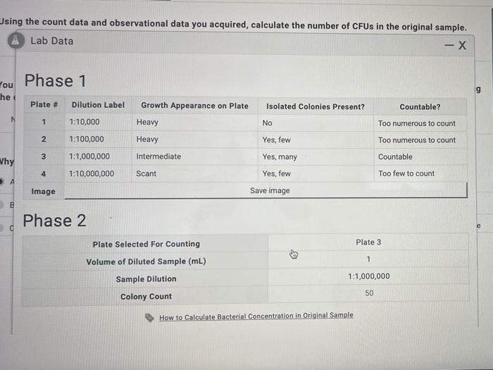 Solved Introduction Laboratory Simulation Using The Count