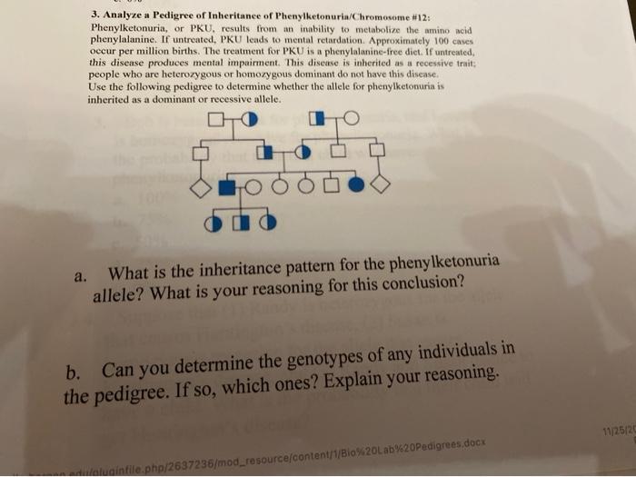 Solved 3. Analyze a Pedigree of Inheritance of | Chegg.com