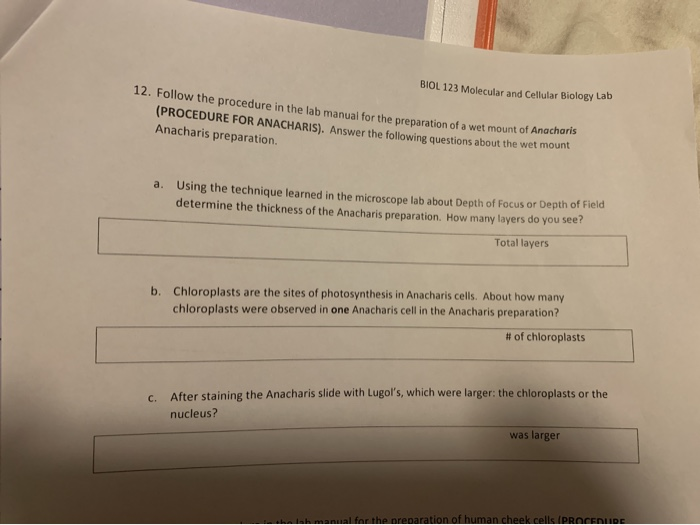 Solved BIOL 123 Molecular and Cellular Biology Lab 12. | Chegg.com