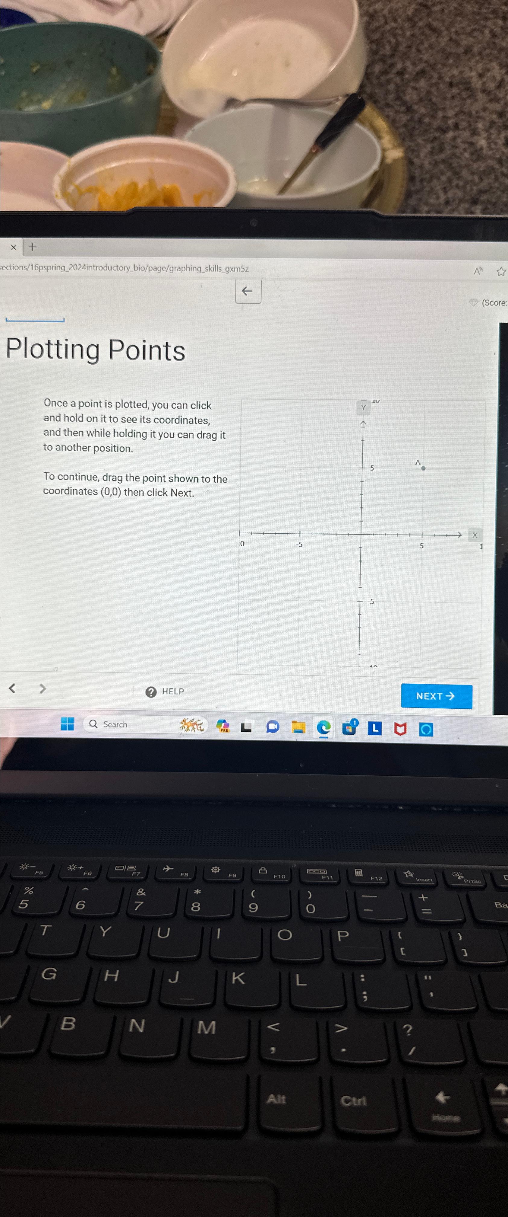 Solved Plotting PointsOnce a point is plotted, you can click | Chegg.com