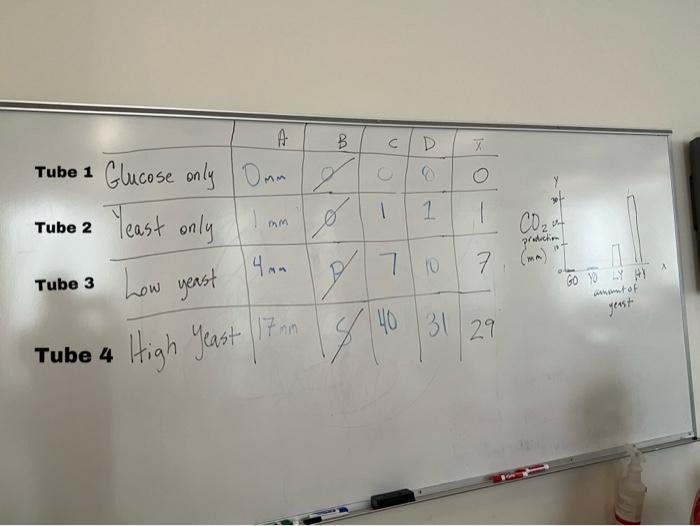 Solved Since tube 4 has the highest carbon dioxide | Chegg.com
