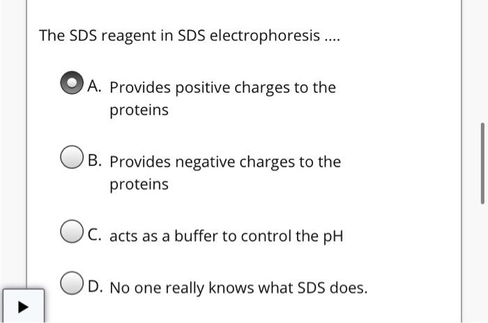 Solved The SDS reagent in SDS electrophoresis .... A. | Chegg.com