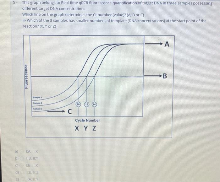 Solved This graph belongs to Real-time qPCR fluorescence | Chegg.com