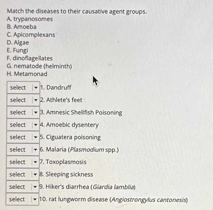 Solved Which eukaryotic microbe group has highly | Chegg.com