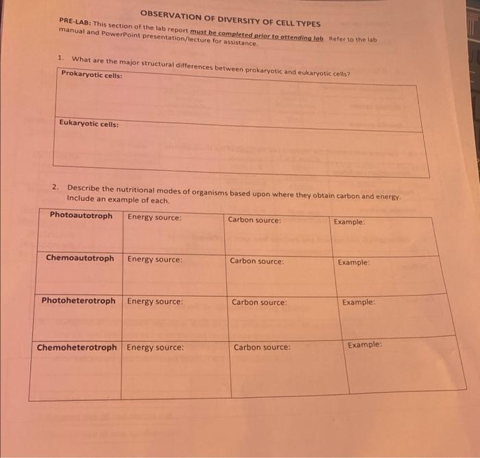 Solved OBSERVATION OF DIVERSITY OF CELL TYPES PRE-LAB: This | Chegg.com