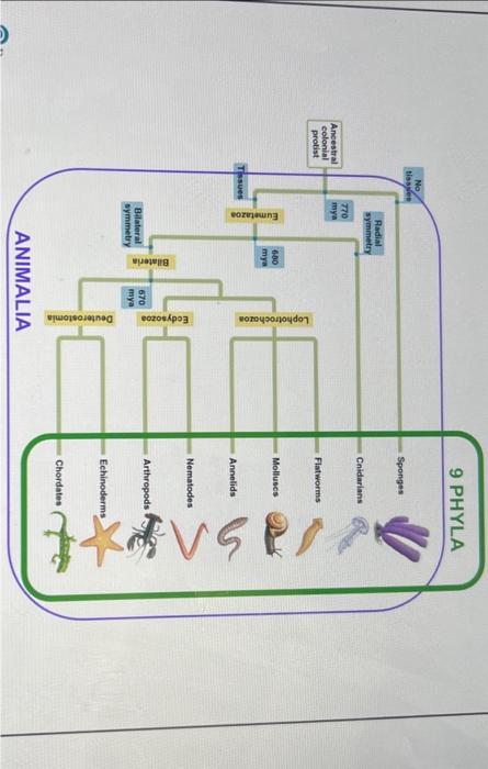 Solved the first figure are the text images | Chegg.com