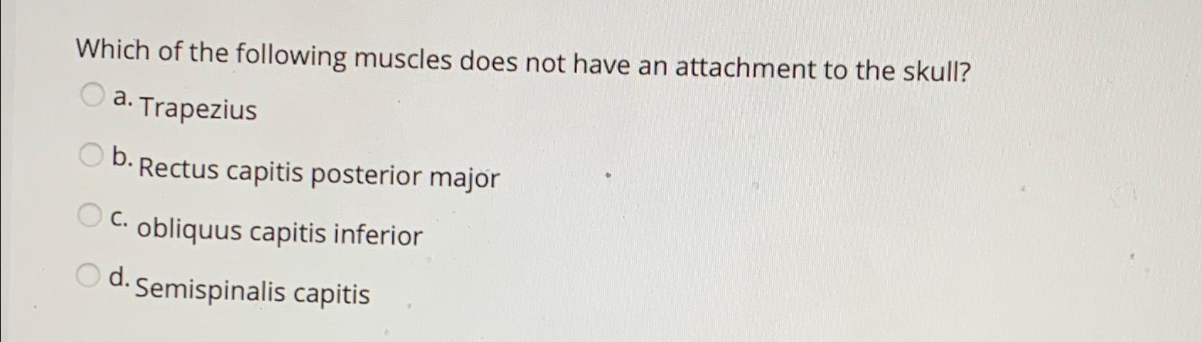 Solved Which of the following muscles does not have an | Chegg.com