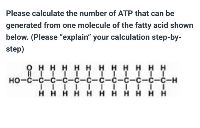 Solved Please calculate the number of ATP that can be | Chegg.com