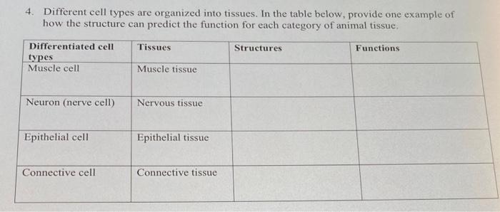 Solved 4. Different cell types are organized into tissues. | Chegg.com