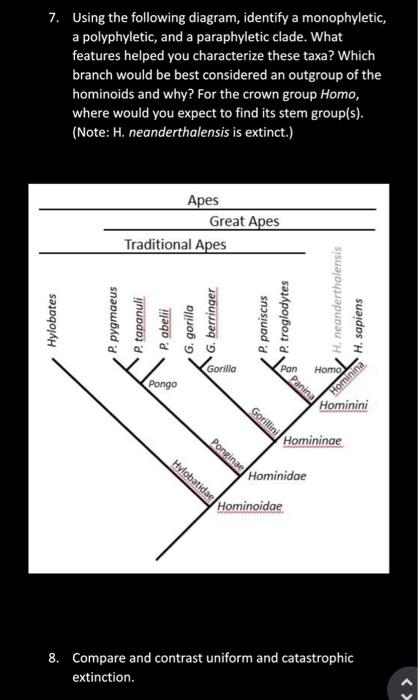 Solved 7. Using the following diagram, identify a | Chegg.com