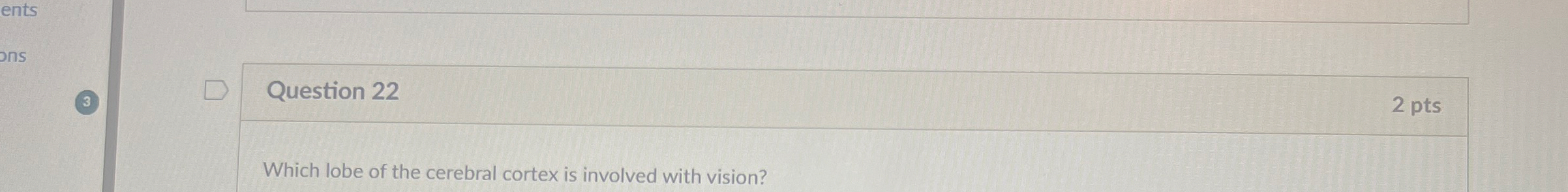Solved Question 222 ﻿ptsWhich lobe of the cerebral cortex is | Chegg.com