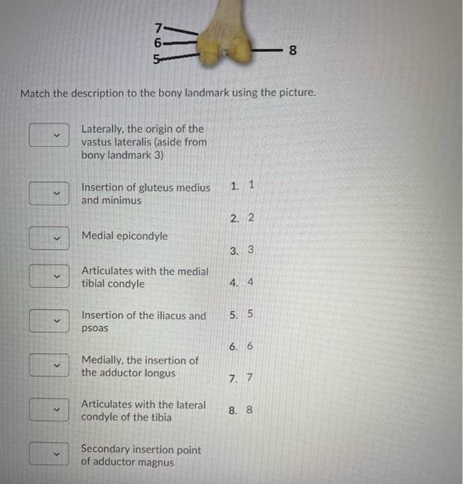 Solved 3 2 1 7 6 5- 8 Match the description to the bony | Chegg.com