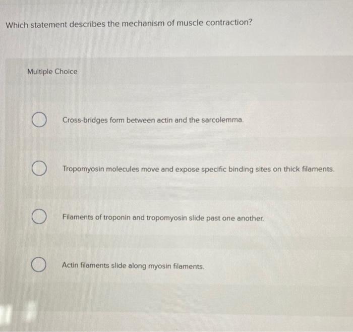 Solved Which statement describes the mechanism of muscle | Chegg.com