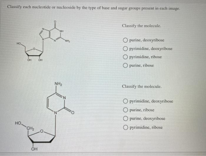 Solved Classify each nucleotide or nucleoside by the type of | Chegg.com