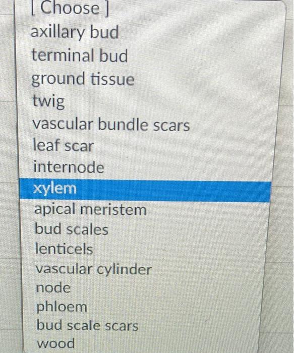Solved Identify the parts of this twig picture by matching | Chegg.com
