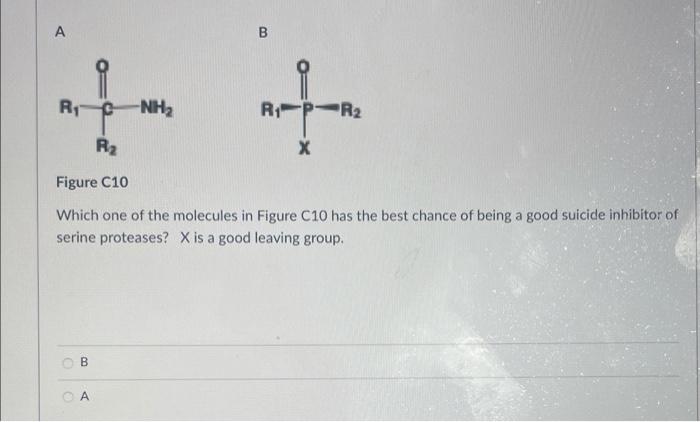 Solved In enzyme catalysis, the proximity effect refers to: | Chegg.com