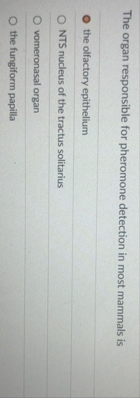 Solved The organ responsible for pheromone detection in most | Chegg.com