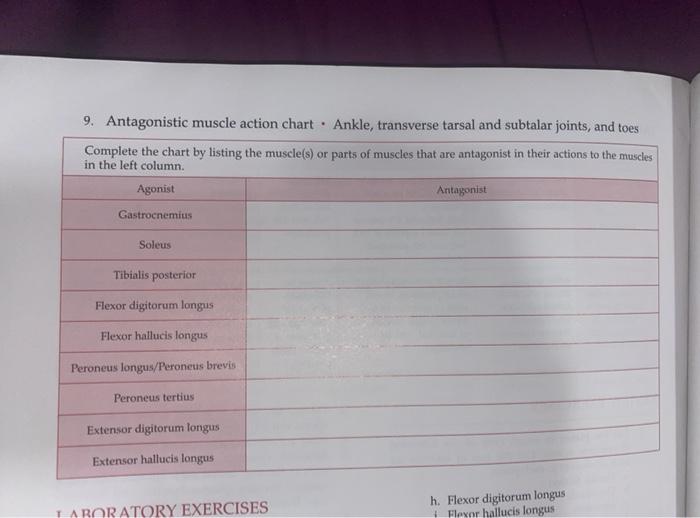 Solved 9. Antagonistic muscle action chart. Ankle, | Chegg.com