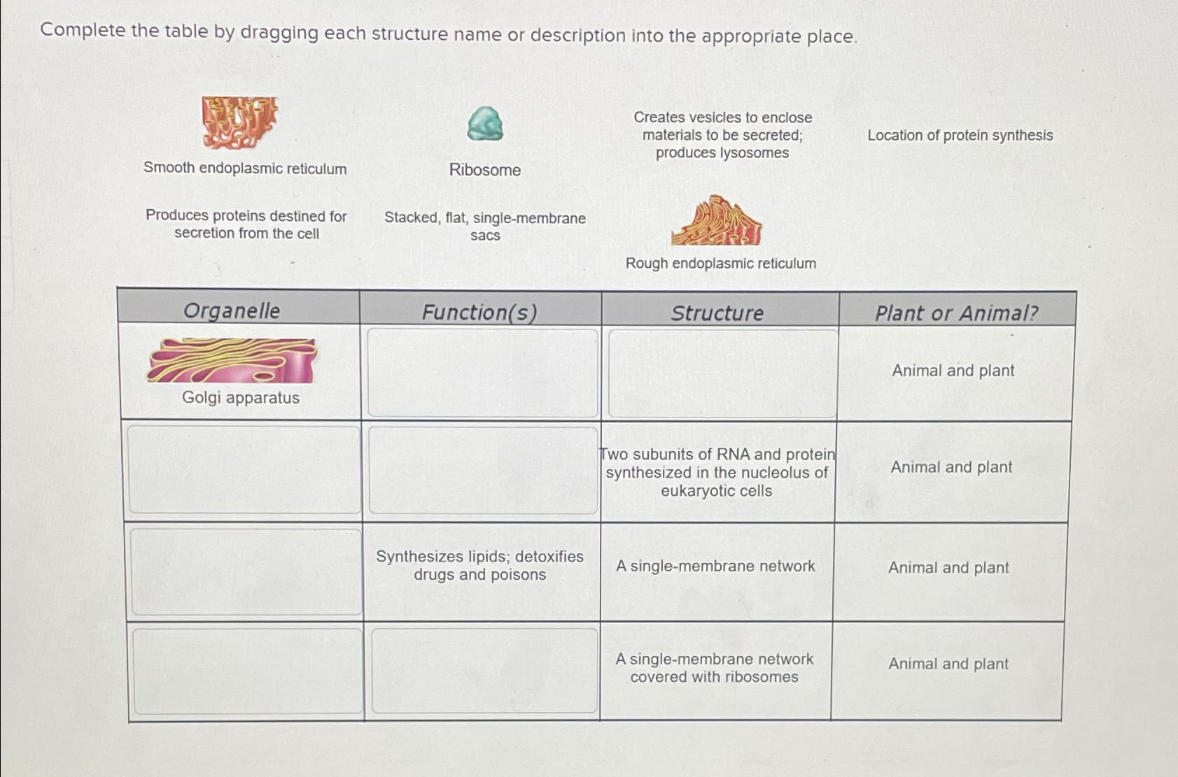 Solved Complete the table by dragging each structure name or | Chegg.com