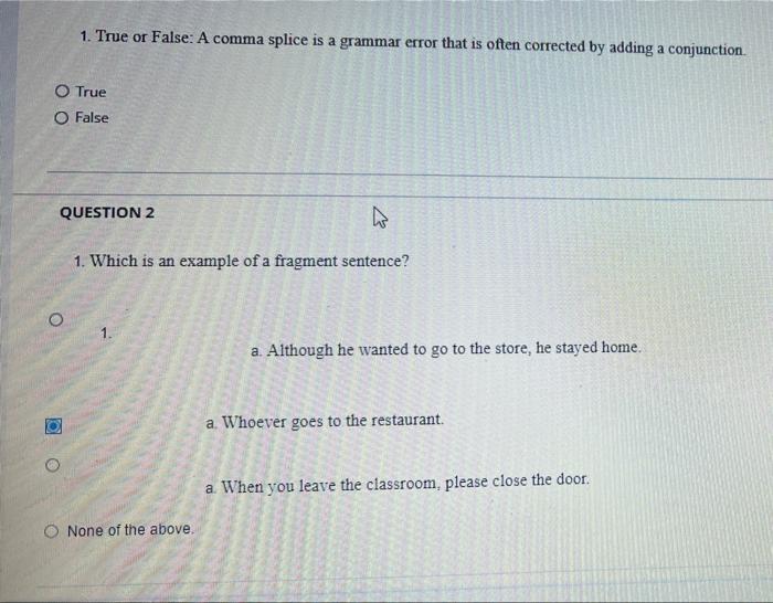 1. True or False: A comma splice is a grammar error | Chegg.com
