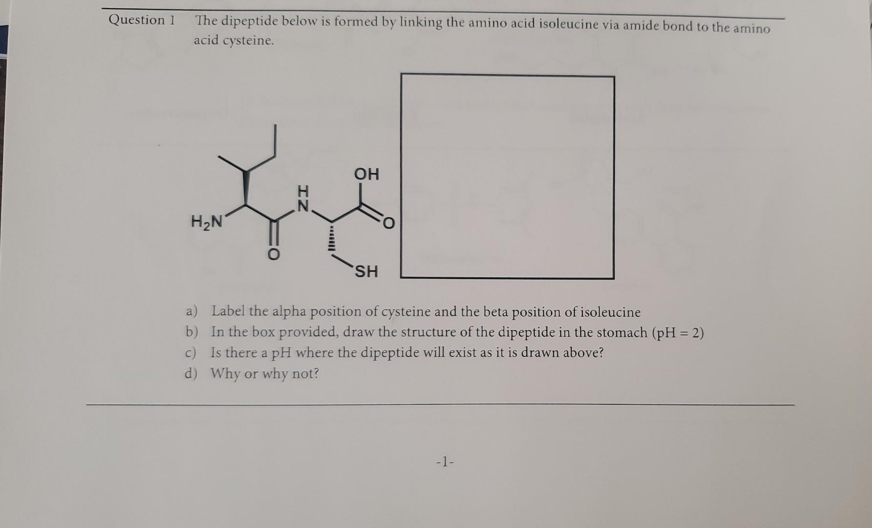 Solved Question 1 The dipeptide below is formed by linking | Chegg.com