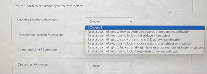Solved Match each microscope type to its function. Scanning | Chegg.com